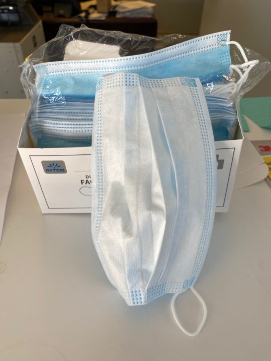 INTCO Disposable Face Mask 50 per pack | Shine Factory, Dartmouth